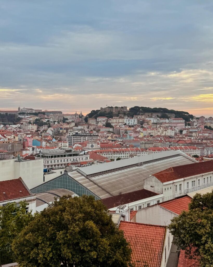8 Public Libraries in Lisbon: Visitors Guide 2025