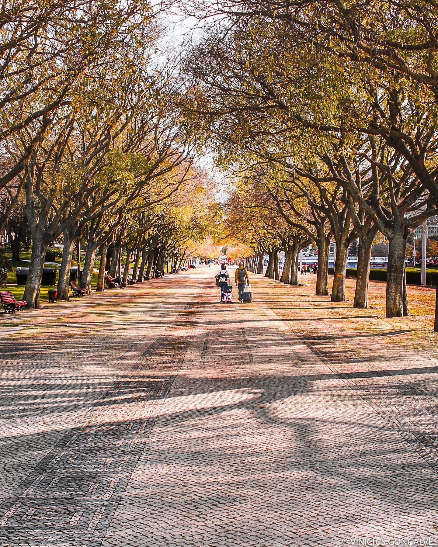 Fall In Lisbon: The Perfect Season To Visit