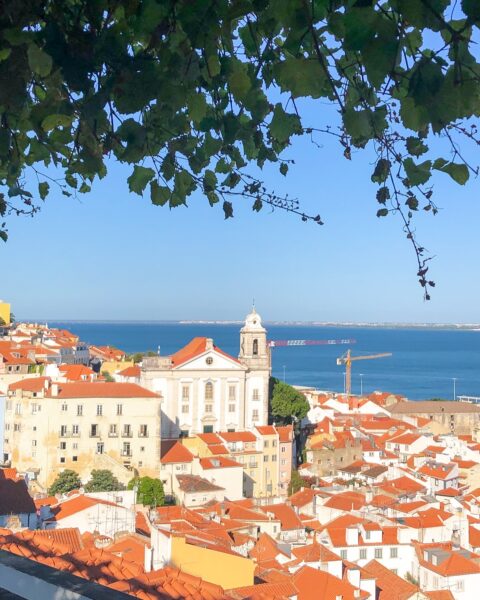 8 Public Libraries in Lisbon: Visitors Guide 2025