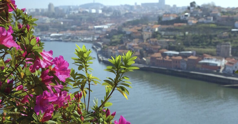 Spring in Lisbon: Embracing The Vibrant Spirit of Blooms