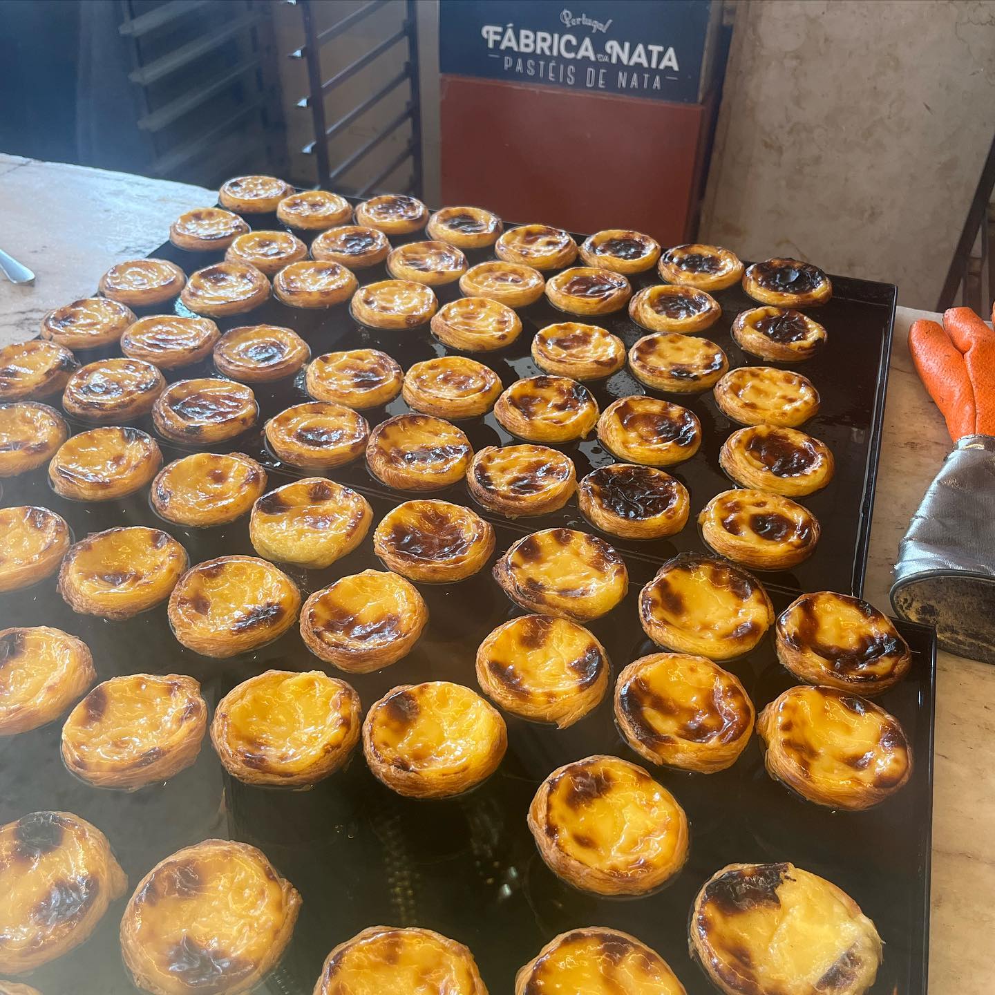 7 Best Pastel de Nata in Lisbon (I've Tried Them All Now)