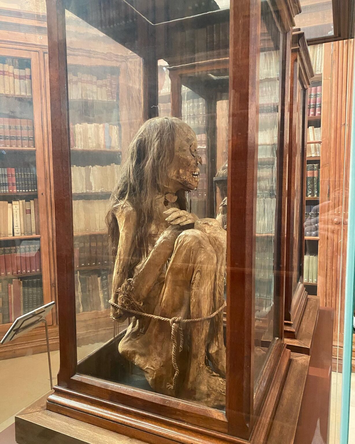 Carmo Convent Museum in Lisbon