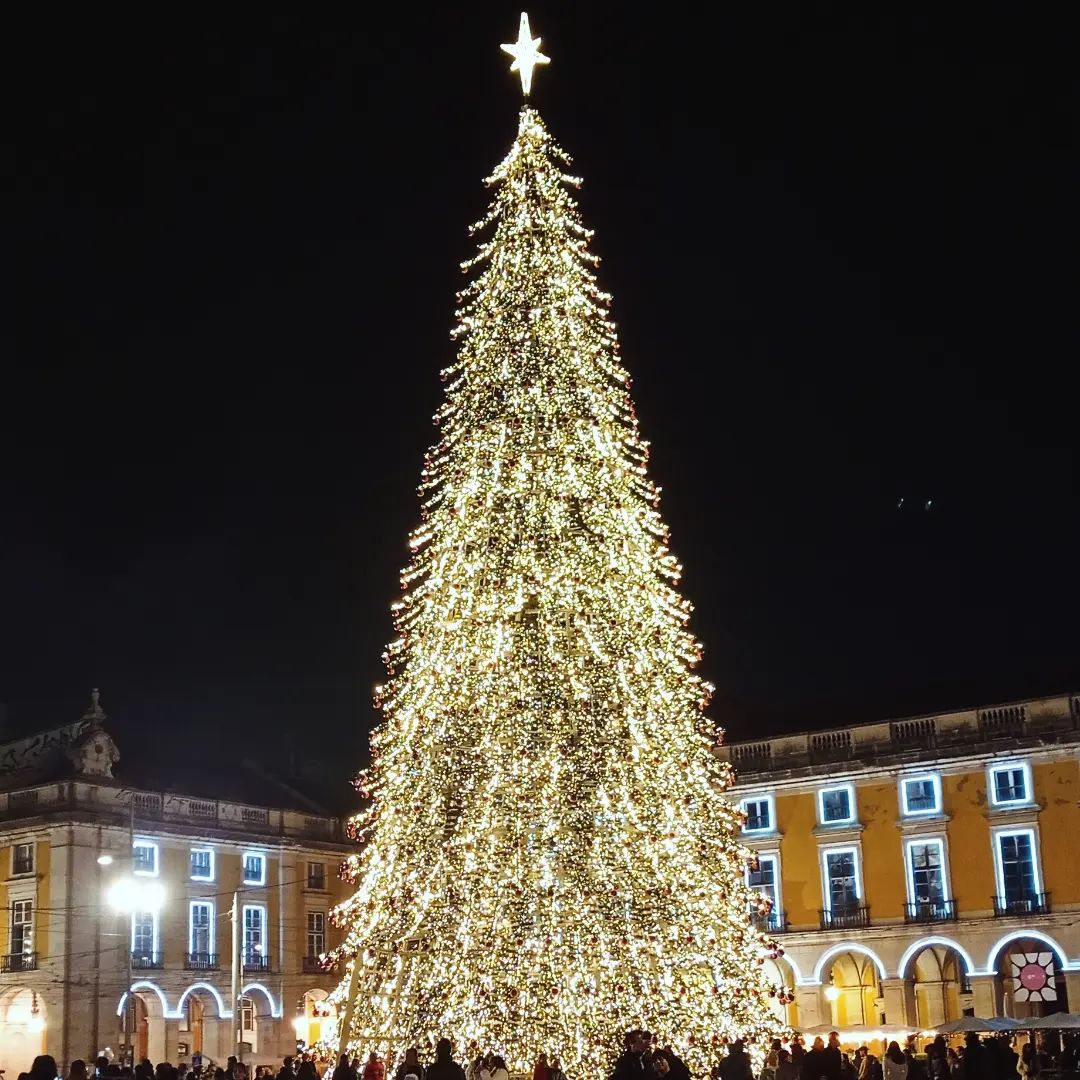 Lisbon in December: 10 Things To Do In This Magical Time