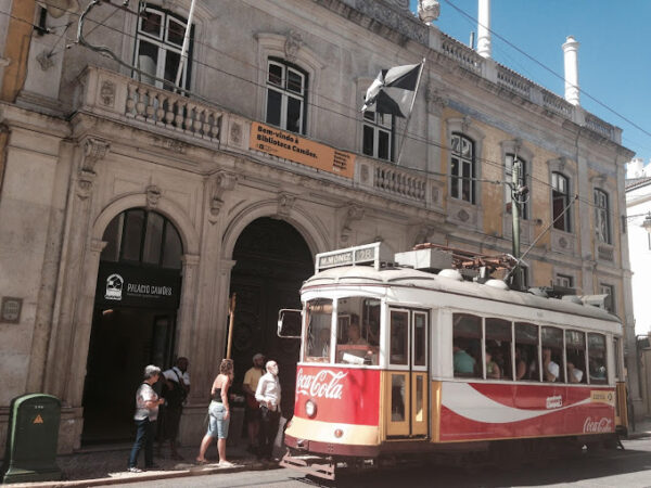 8 Public Libraries in Lisbon: A Visitor Guide
