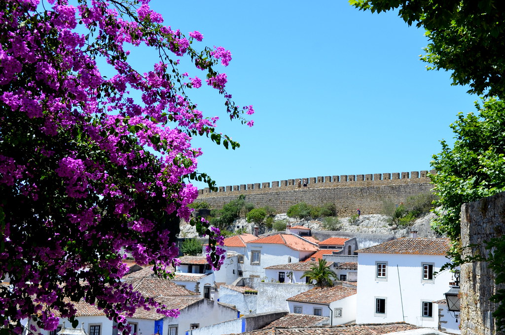 Lisbon to Obidos Via Train, Bus, or Car in 2025