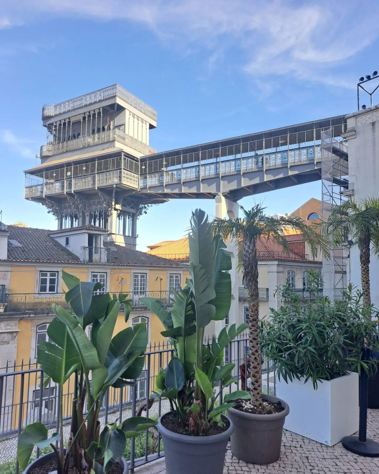 Lisbon Bucket List: 15 Must-Try Things in Lisbon